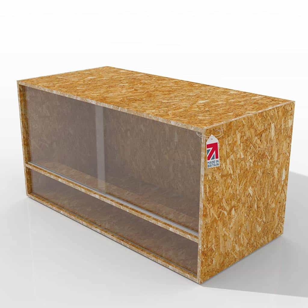 Reptile, Snake, Lizard, Turtle, Tortoise, Frog, Toad, Spider, Insect V ...