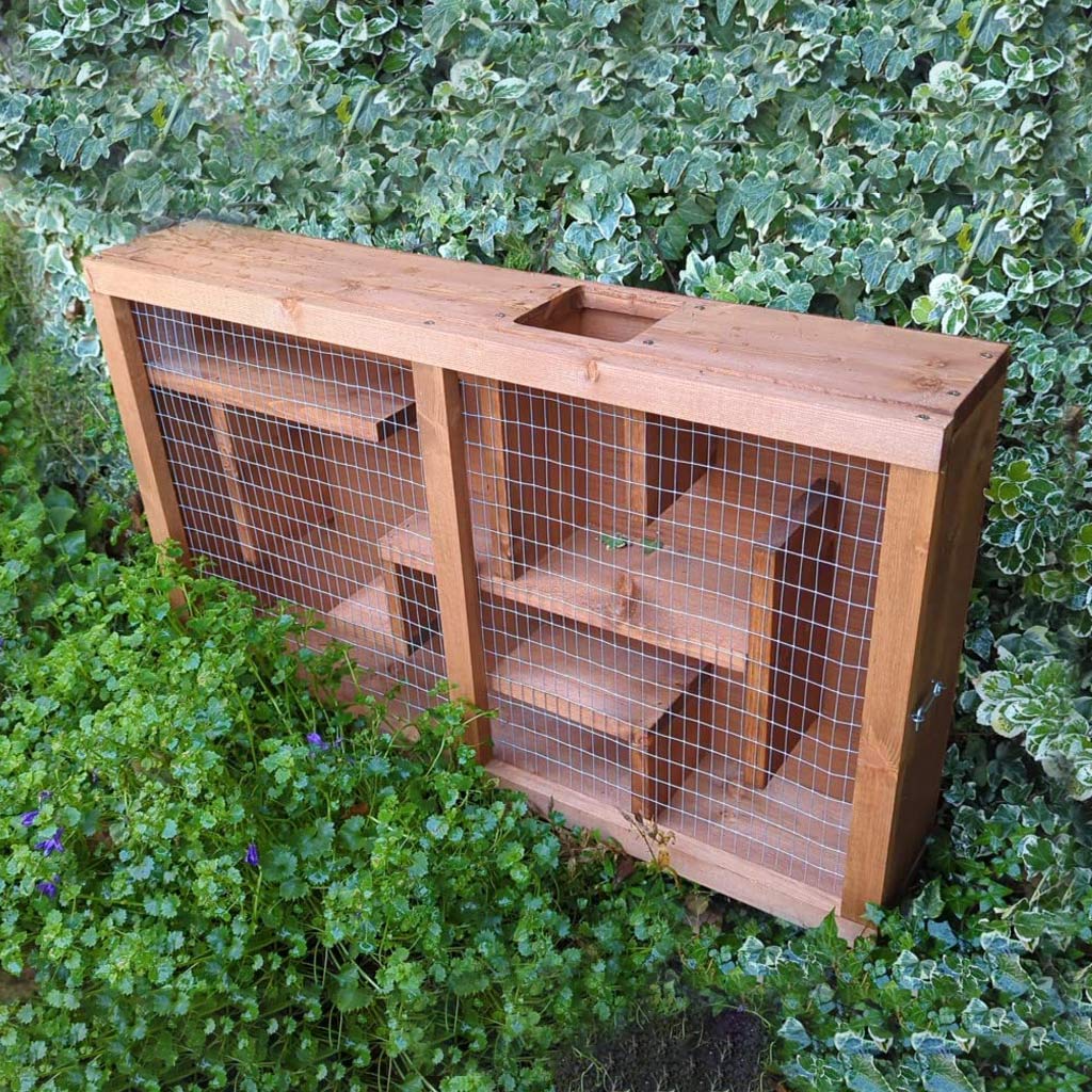 Squirrel Maze Feeder | UK-Made, Entertaining Wildlife Fun – The Hutch ...